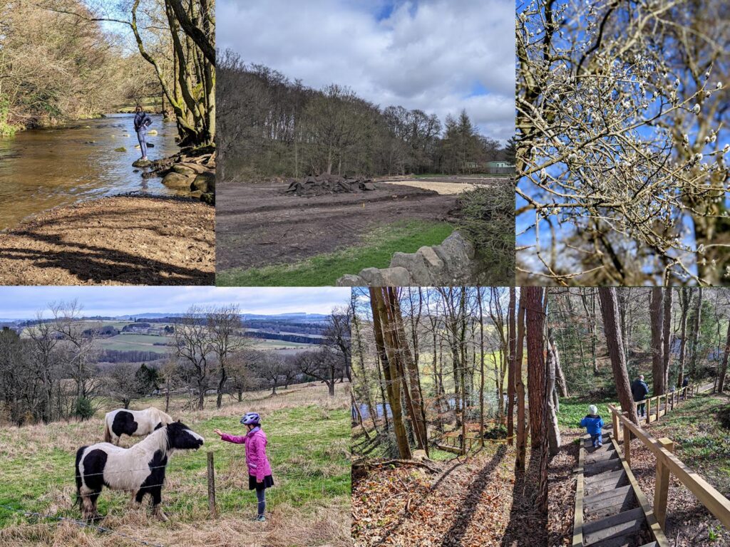 Allensford Country Park | Consett, County Durham | Local Country Parks