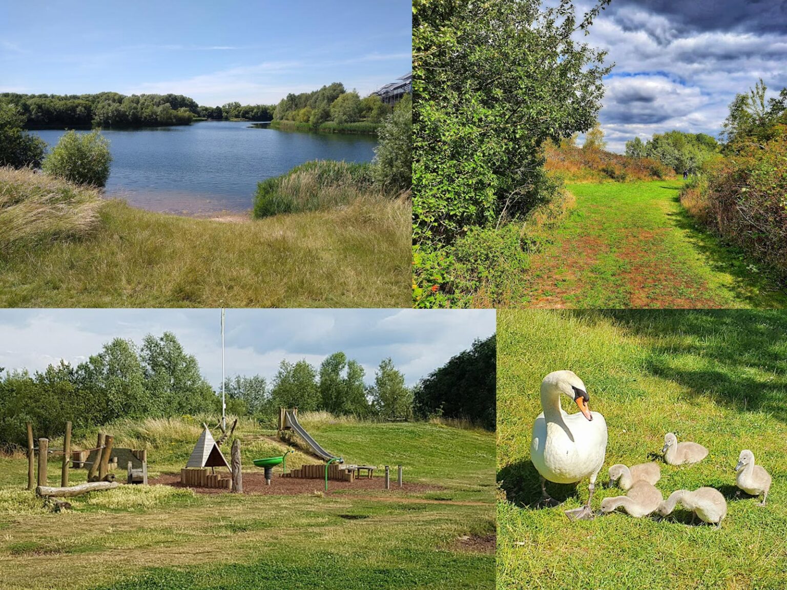 Bedfont Lakes Country Park | Feltham, London | Local Country Parks